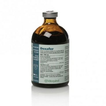 Dexafer 100ml - Langley Animal Clinic