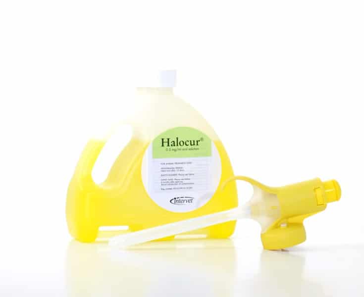 HALOCUR 490ml - Langley Animal Clinic